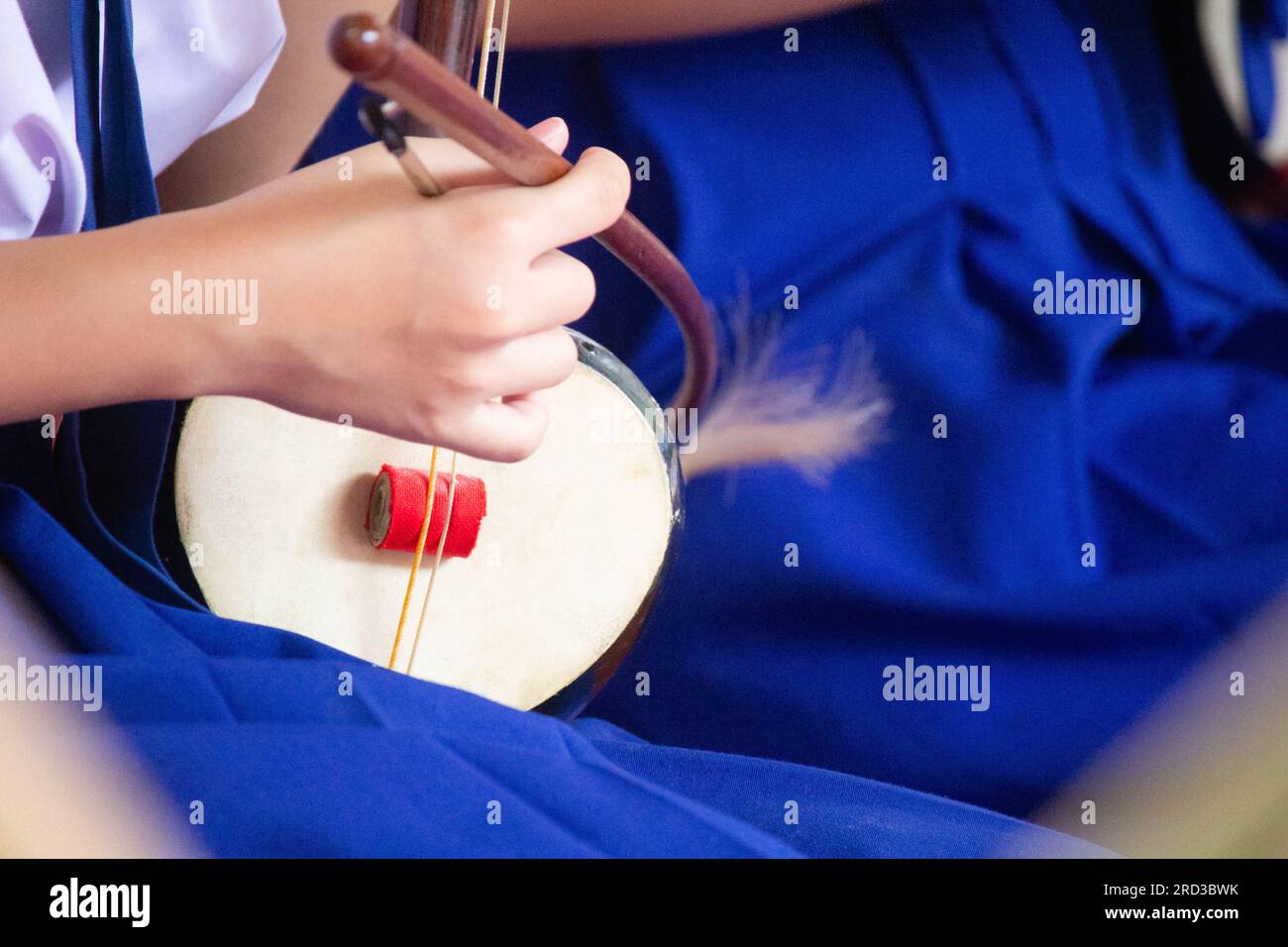 Close-up image of a woman playing a traditional musical instrument ...
