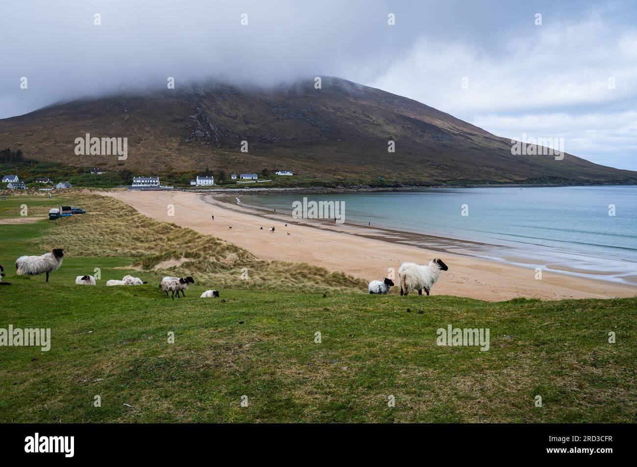 Achill island beach with hi-res stock photography and images - Alamy