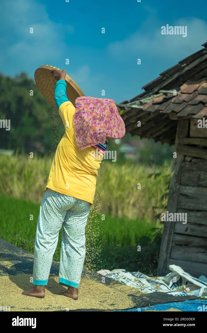 16 July 2023, Trawas, Mojokerto, East Java, Indonesia. A lady working ...
