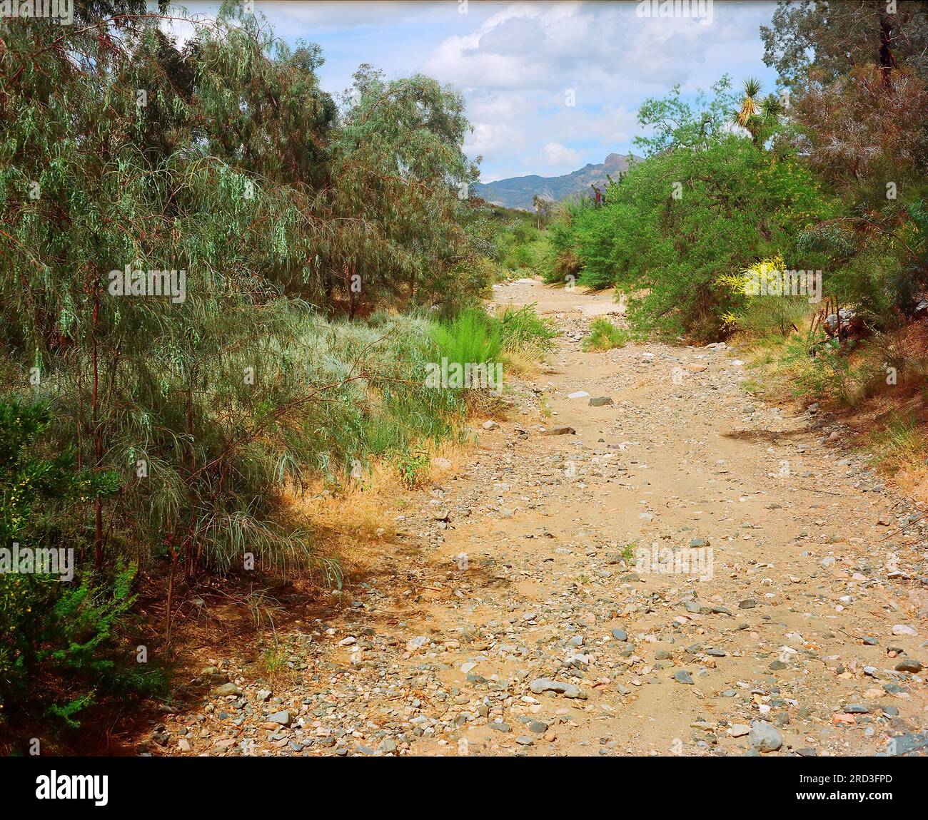 Ephemeral dry river hi-res stock photography and images - Alamy