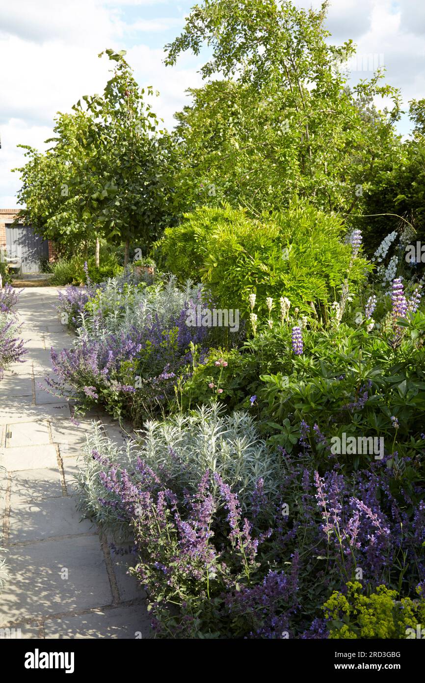 Planting detail by side of stone path. Manor Barn, Faringdon, United ...