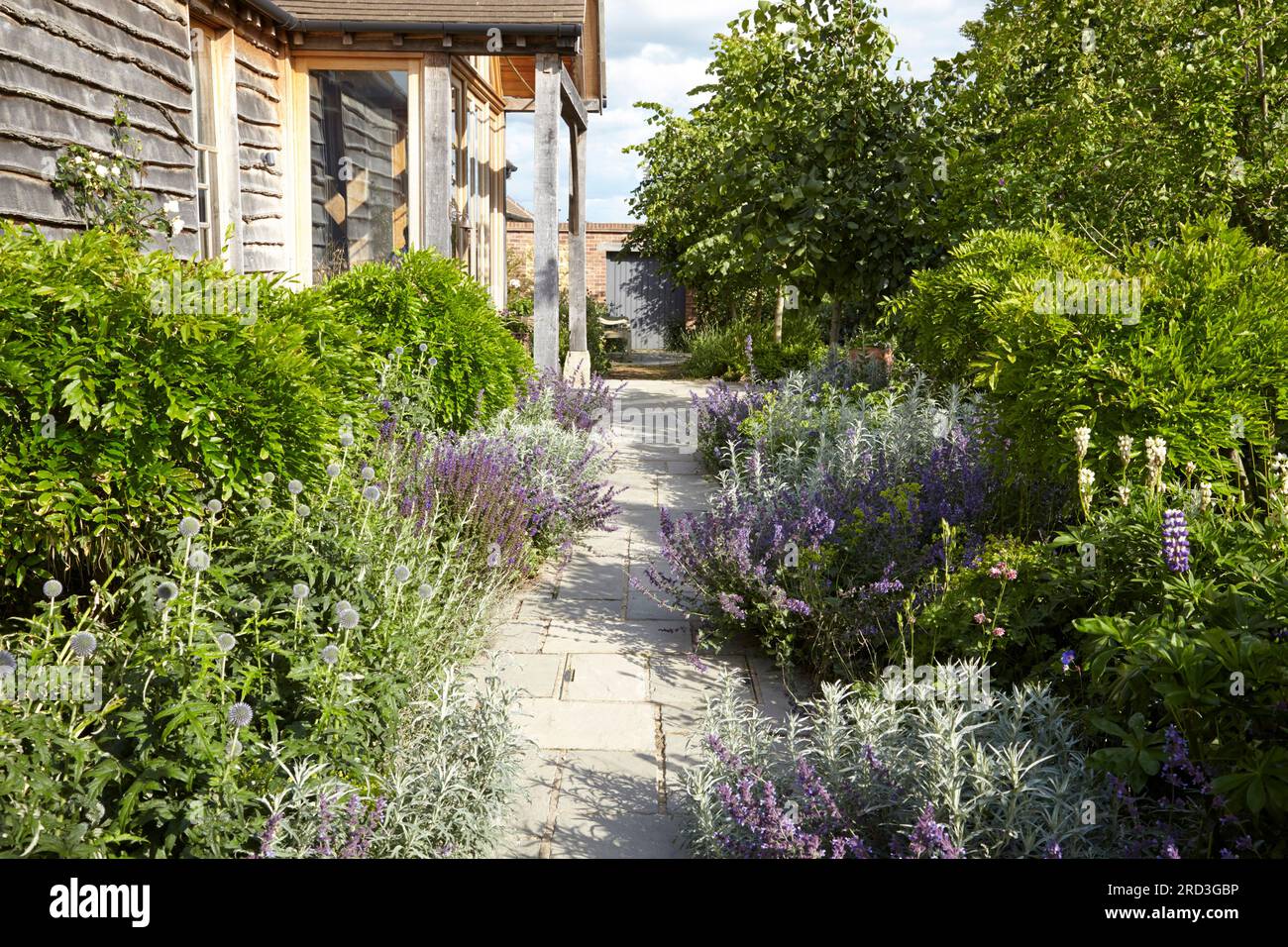 Path leading to front entrance with flower border each side. Manor Barn ...