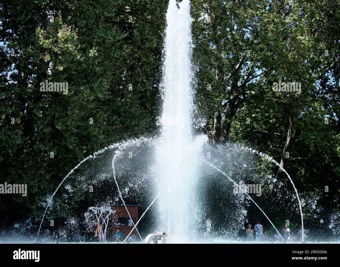 Margaret Island in Budapest,Hungary Stock Photo - Alamy