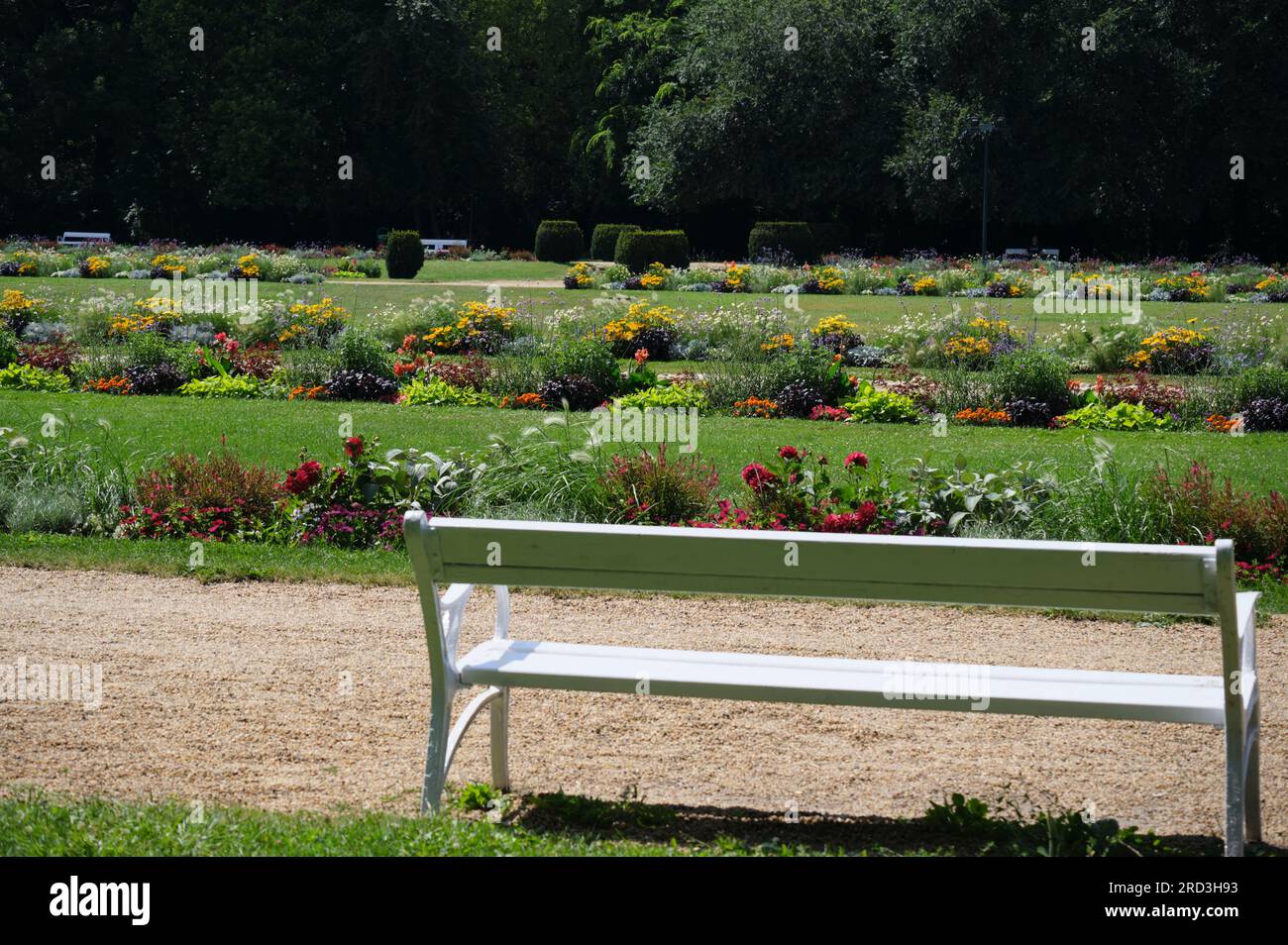 Margaret Island in Budapest,Hungary Stock Photo - Alamy