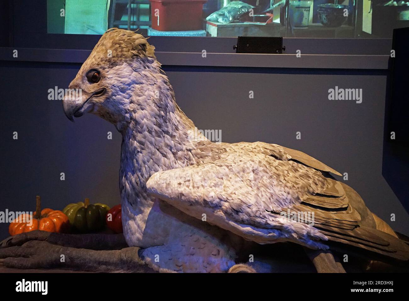 Hippogriff, Half horse, half eagle creatures at Warner bros studio tour ...