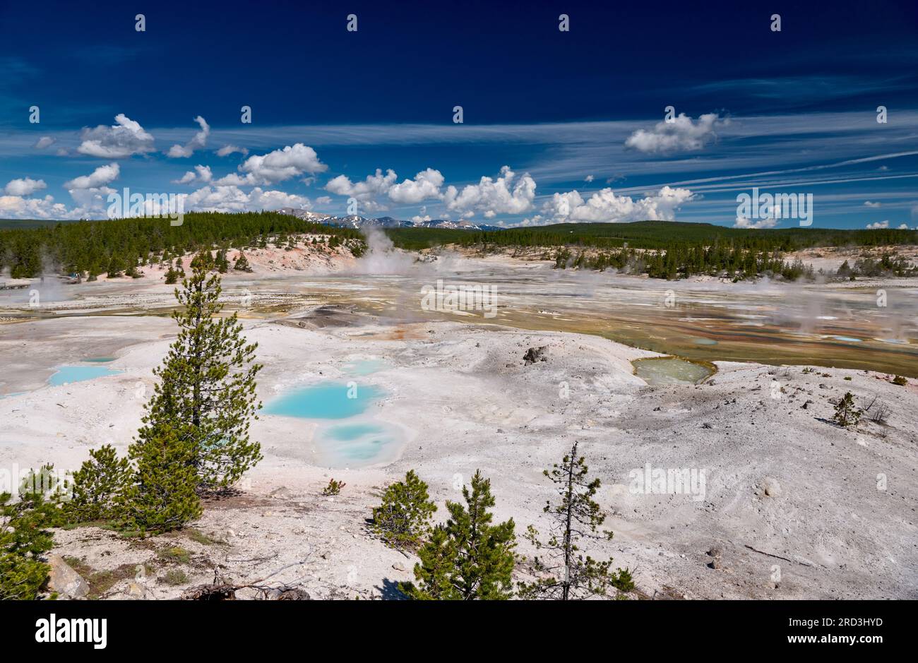 Colloidal Pool, Norris Porcelain Basin, Norris Geyser Basin ...