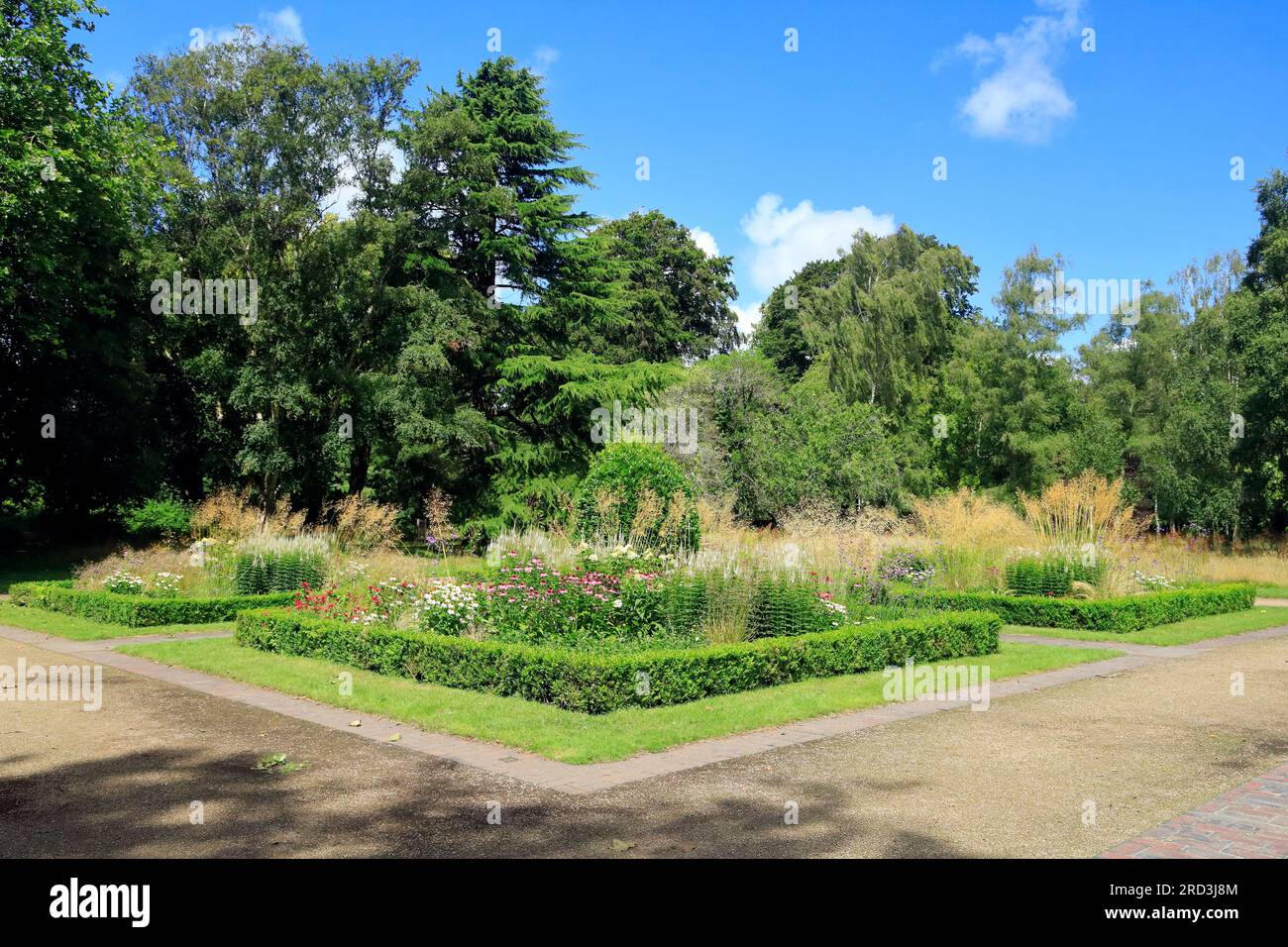 Flower borders, Bute Park, Cardiff. Summer. Taken July 2023 Stock Photo ...
