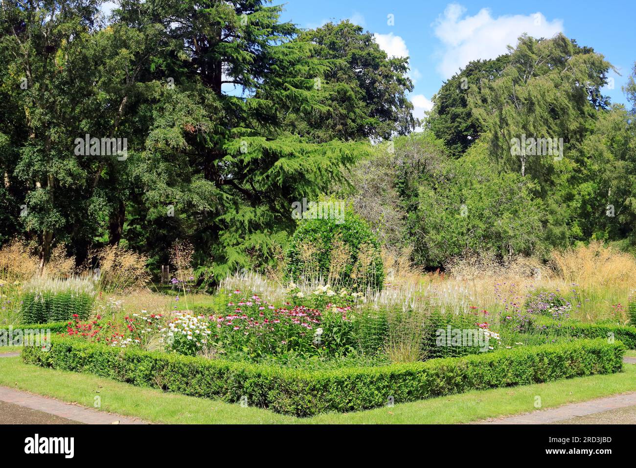 Flower borders, Bute Park, Cardiff. Summer. Taken July 2023 Stock Photo ...