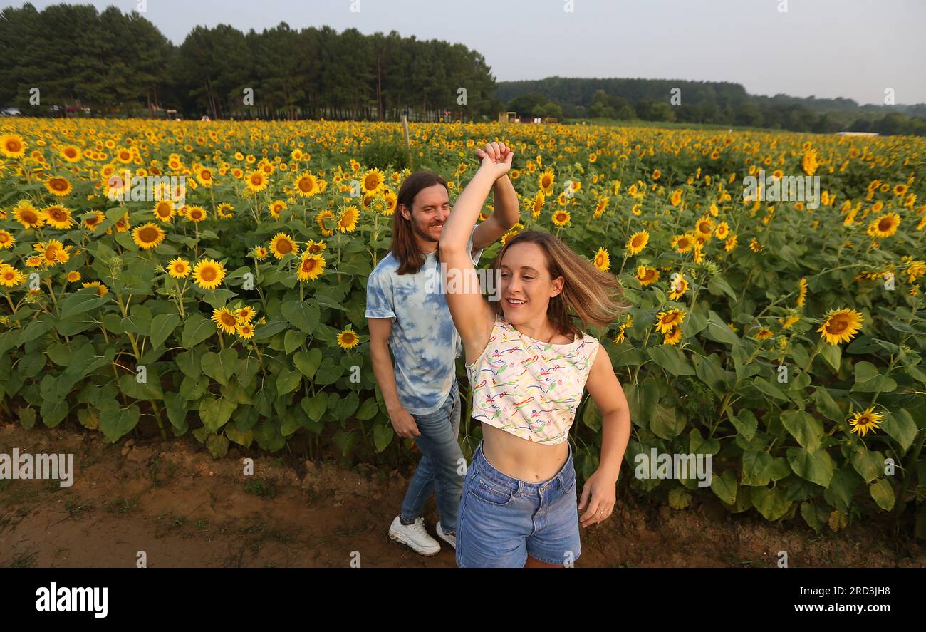 The savannah bananas hi-res stock photography and images - Alamy