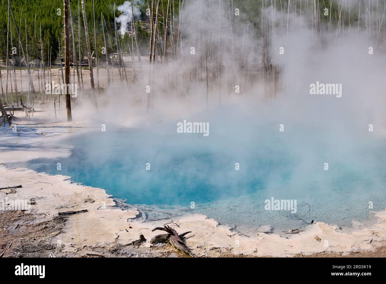 Cistern Spring, Norris Geyser Basin, Yellowstone National Park, Wyoming ...