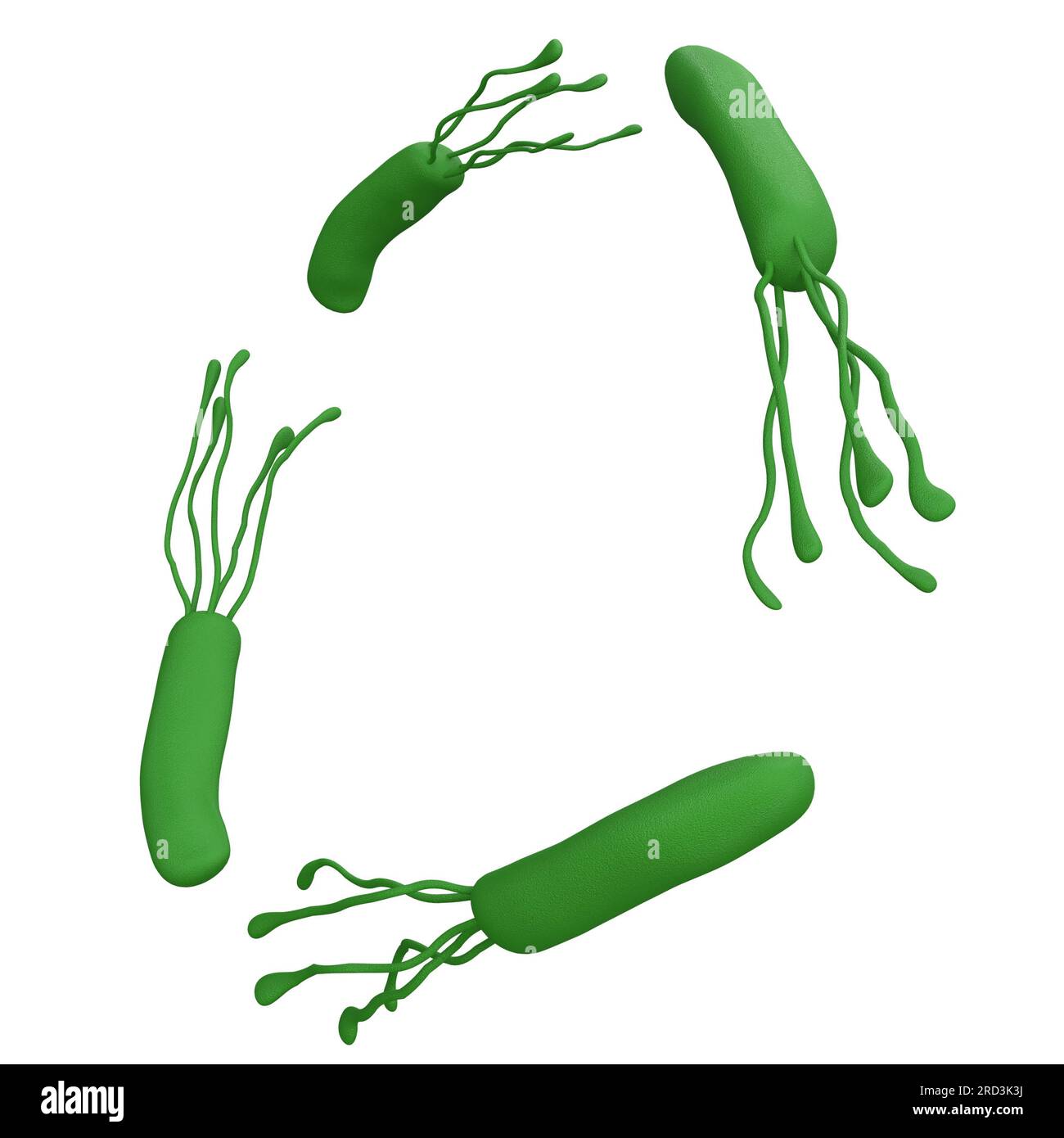 Helicobacter pylori bacteria 3d render realistic frame with place for ...