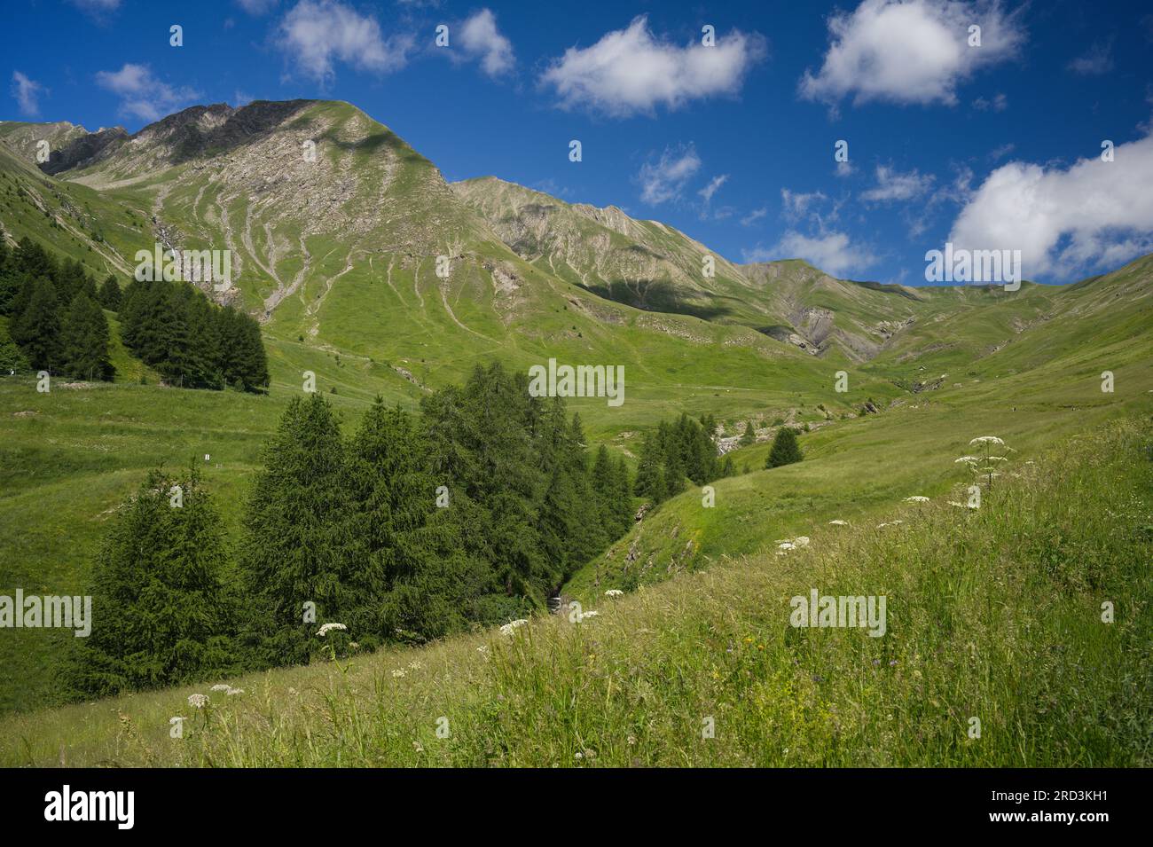 Scenery of the Source of Verdon in the Val d'Allos, France Stock Photo ...