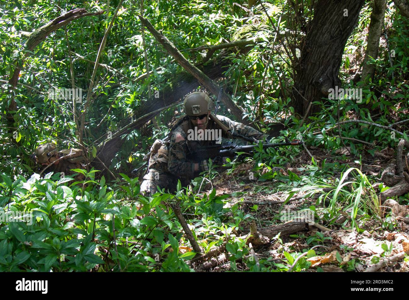 A U.S. Marine with Advanced Infantry Training Battalion, School of ...