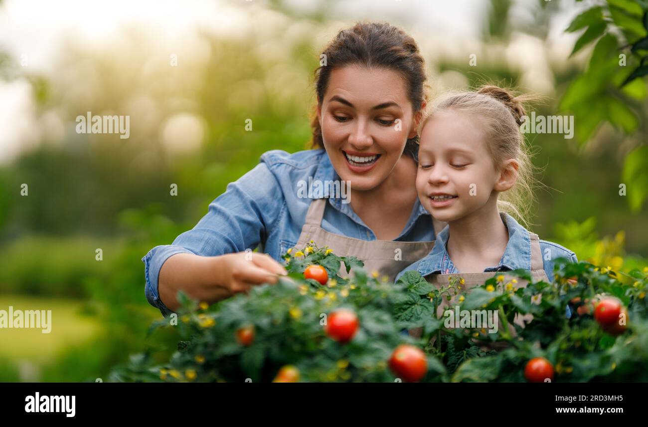 Happy mother and daughter gardening in the backyard. Kid helping her mom and learning botany ...