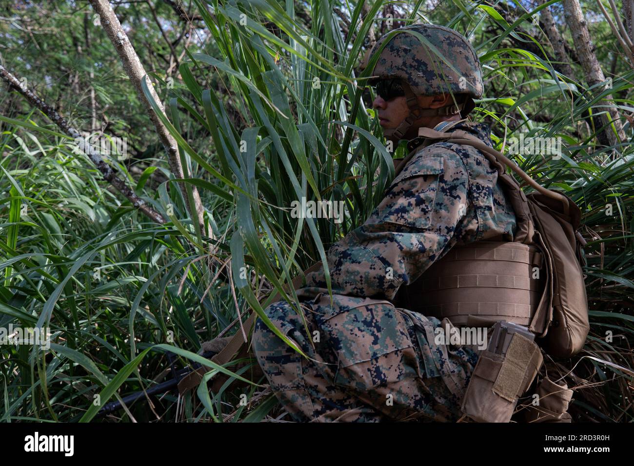 U.S. Marine Corps Pfc. Alexander Matias, a combat engineer with Marine ...