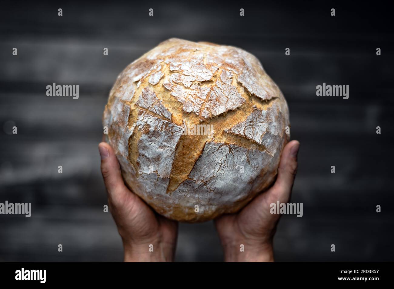 Traditional leavened sourdough bread in baker hands on a rustic wooden ...