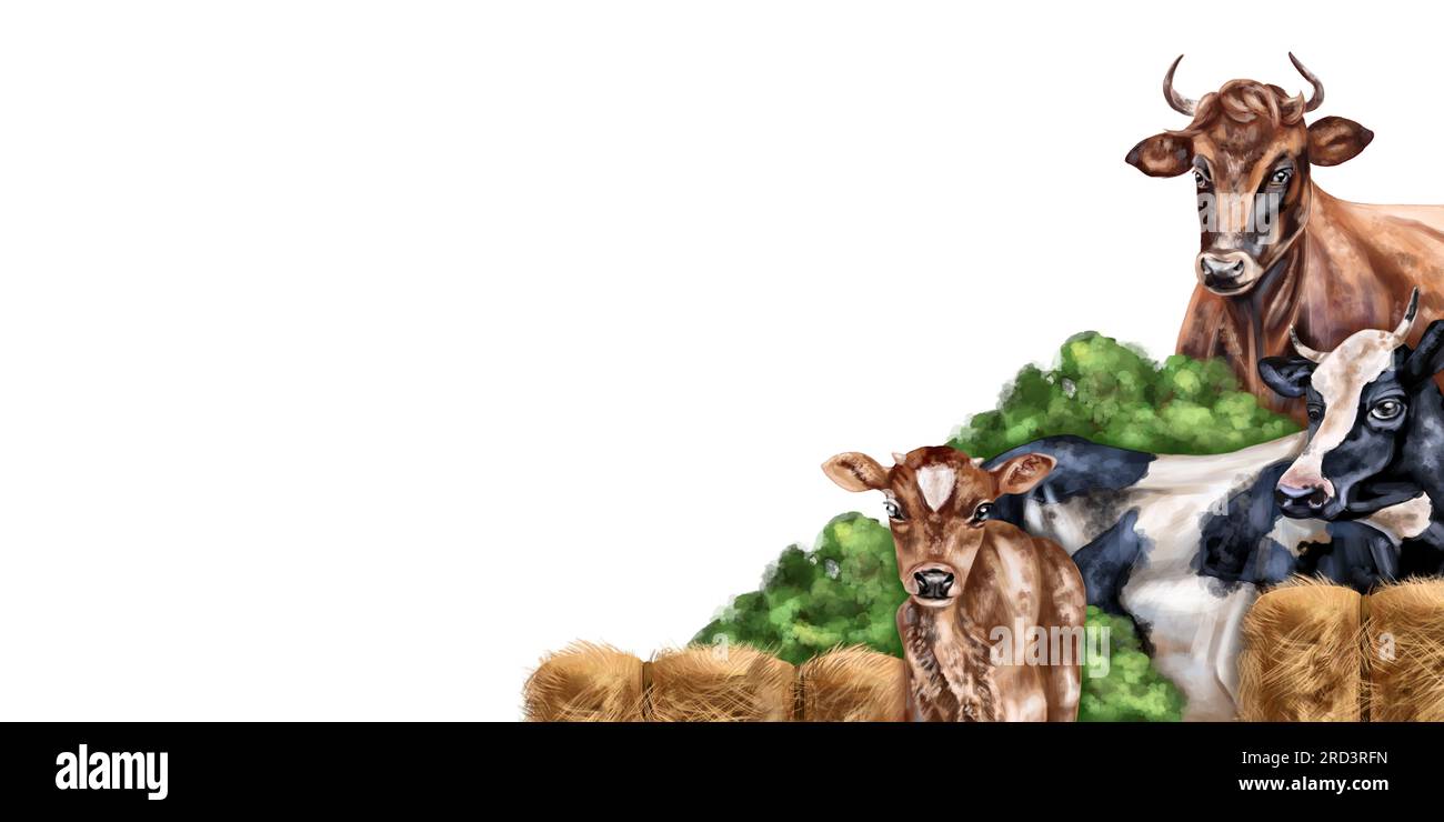Angular horizontal border with a composition of cow, bull and calf ...