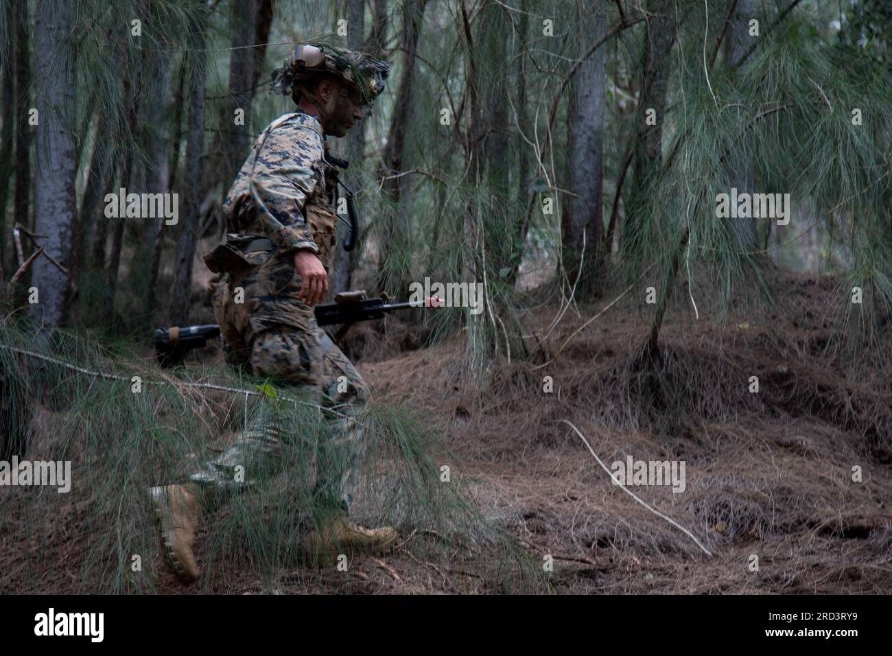 A U.S. Marine with Advanced Infantry Training Battalion, School of ...