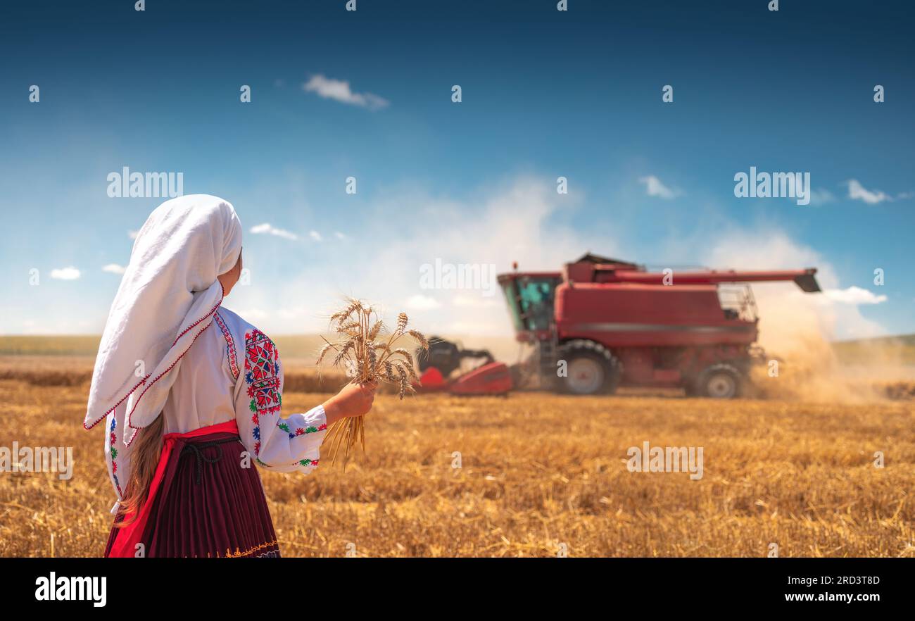 harvest time of golden wheat field and girl in traditional ethnic ...