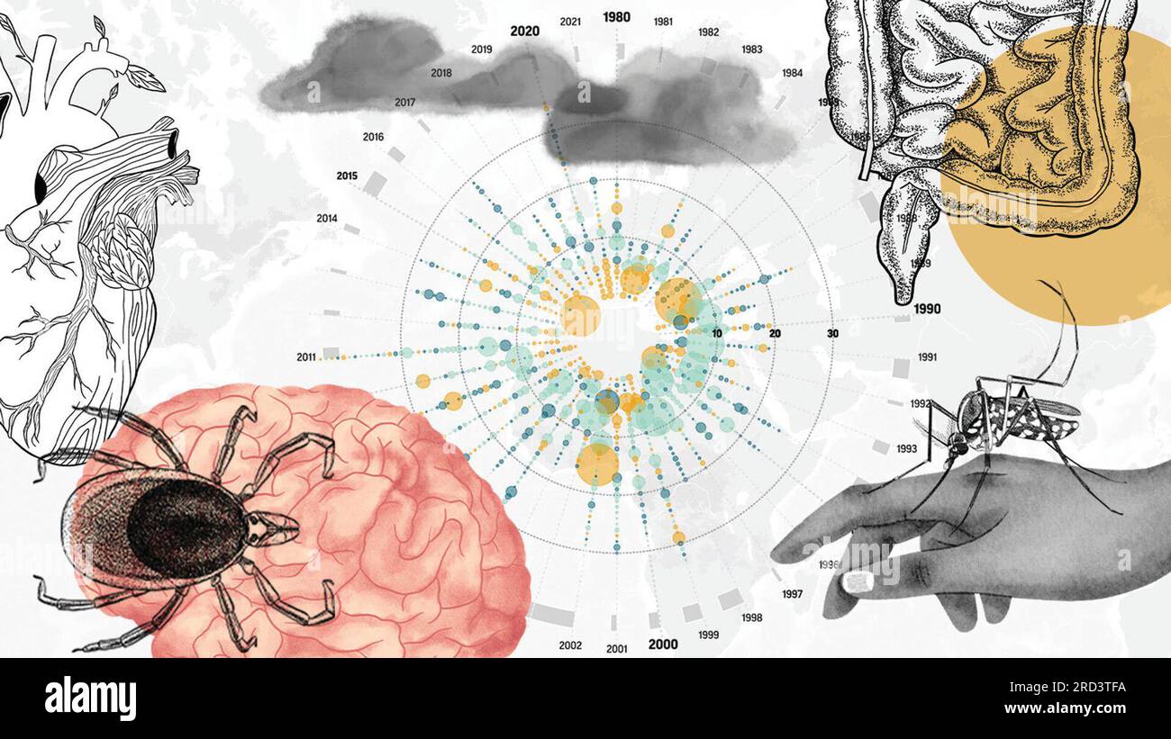 Illustration about the different ways infectious diseases can enter ...