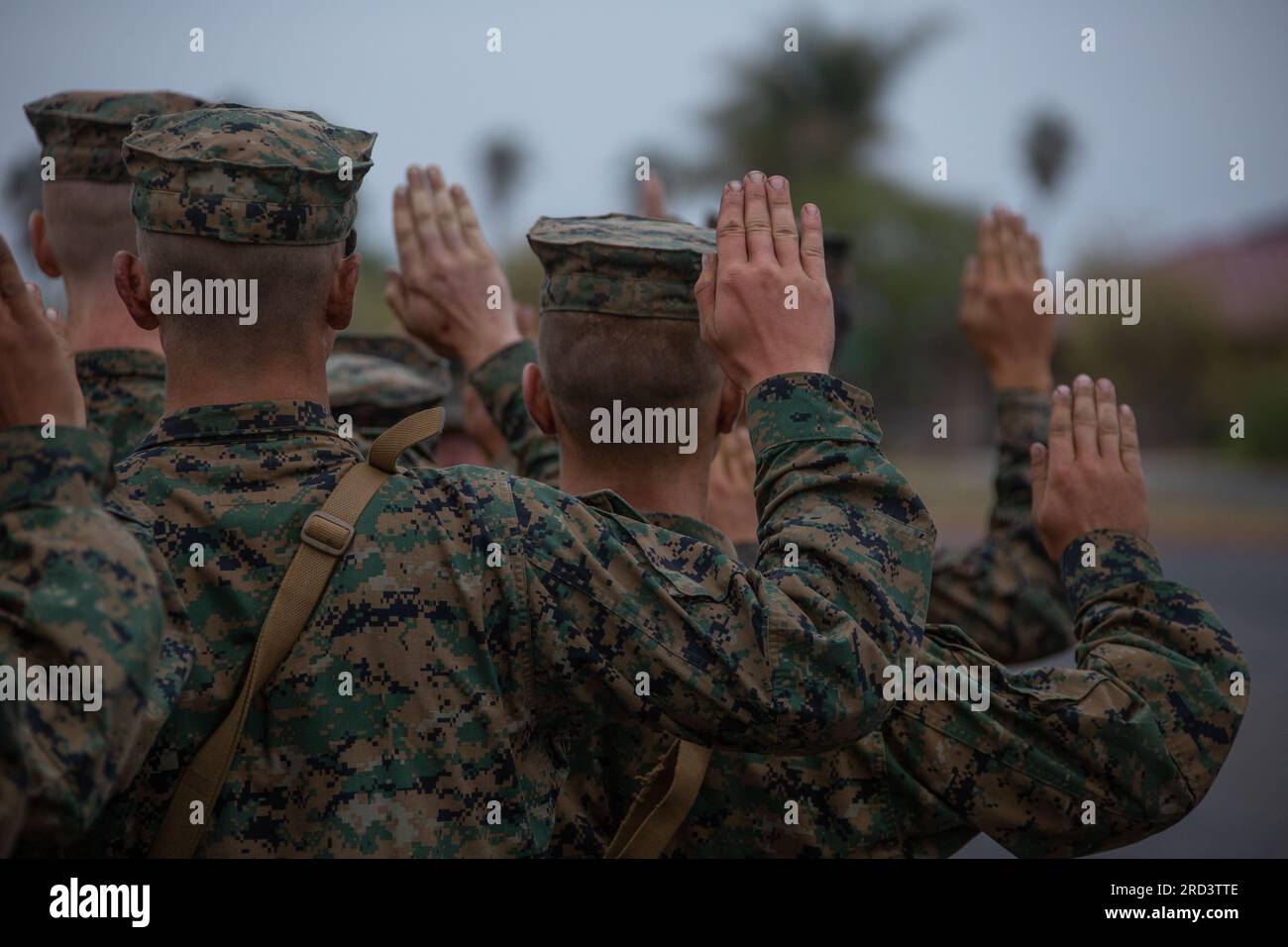 Marines with Delta Company, First Recruit Training Battalion, raise ...