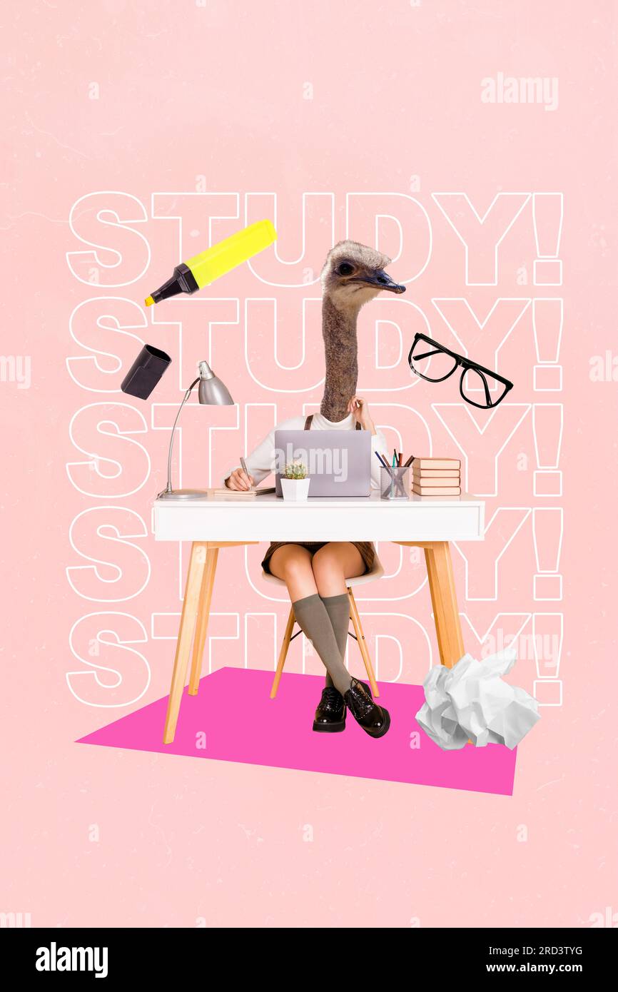 Artwork magazine collage picture of ostrich head lady online distance ...