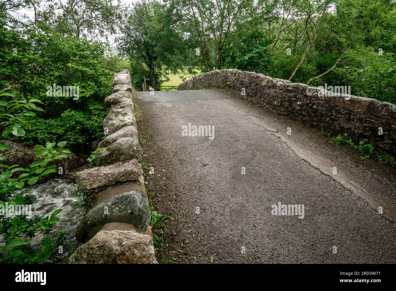 River esk bridge hi-res stock photography and images - Alamy