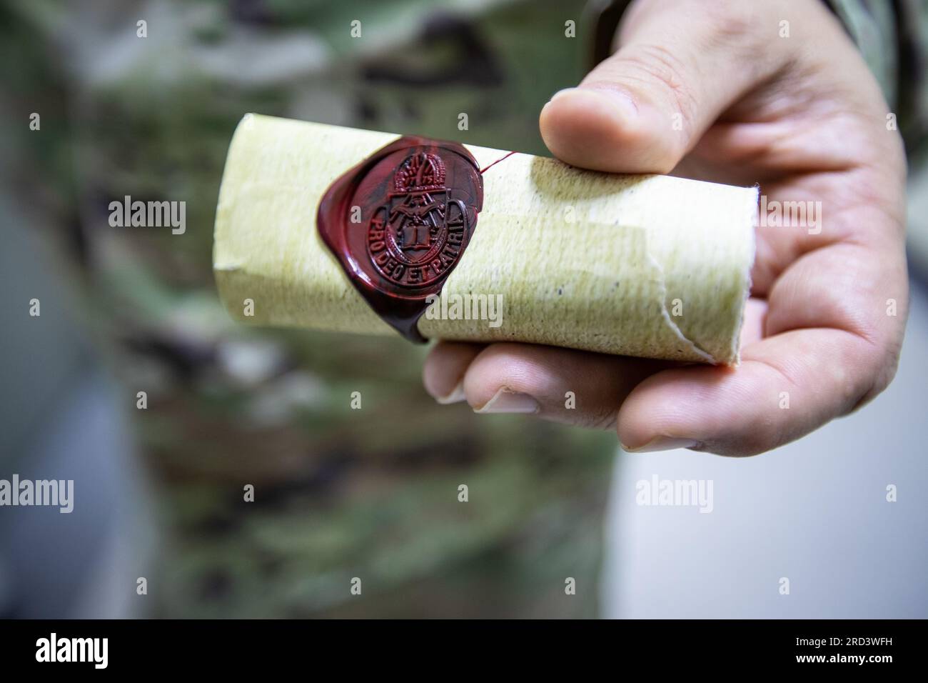 Personal training seal hi-res stock photography and images - Alamy