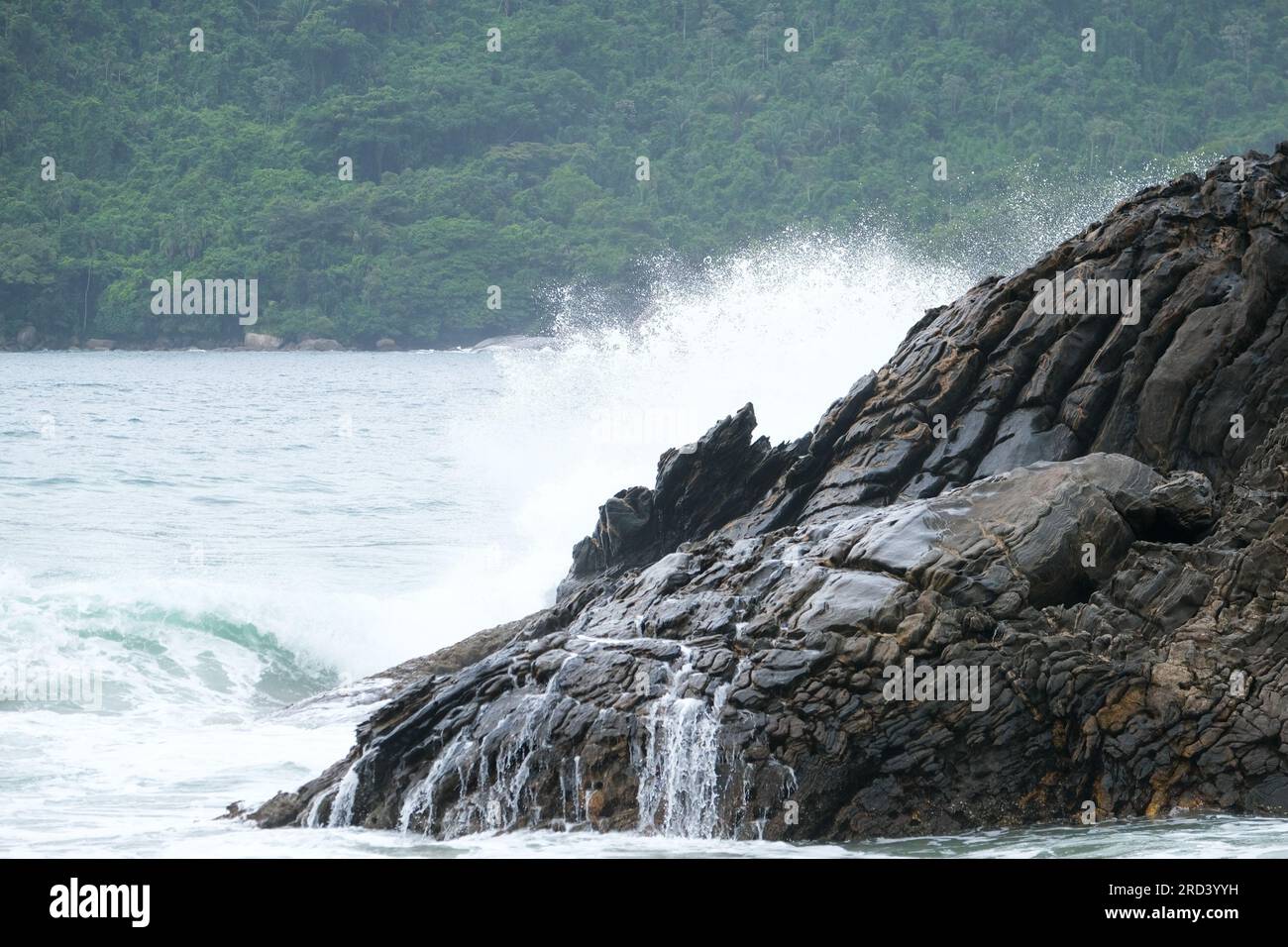 Waves on rocks inside sea and forest background. Sea foam near rocks ...