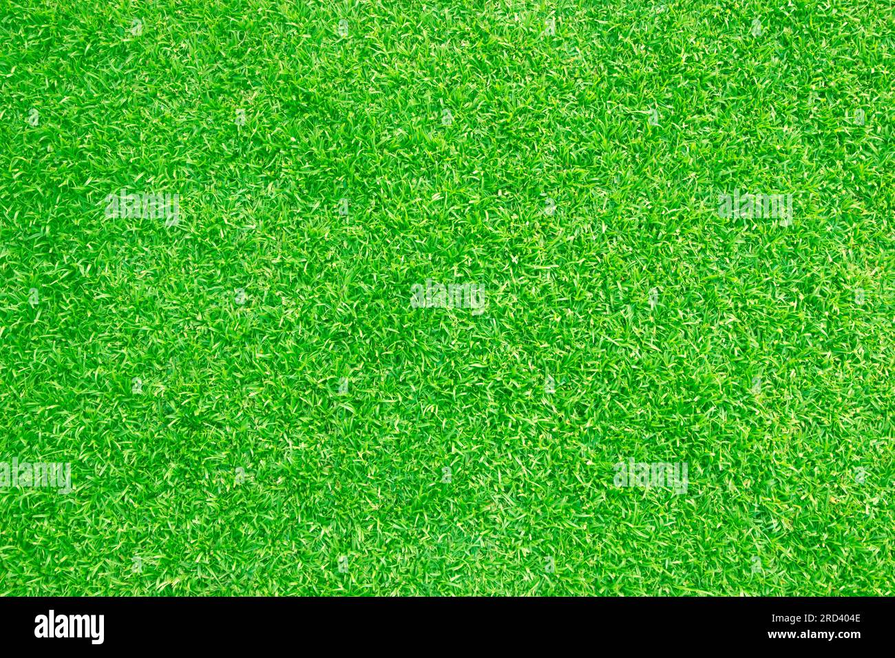 Green grass background turf grass surface abstract Stock Photo - Alamy