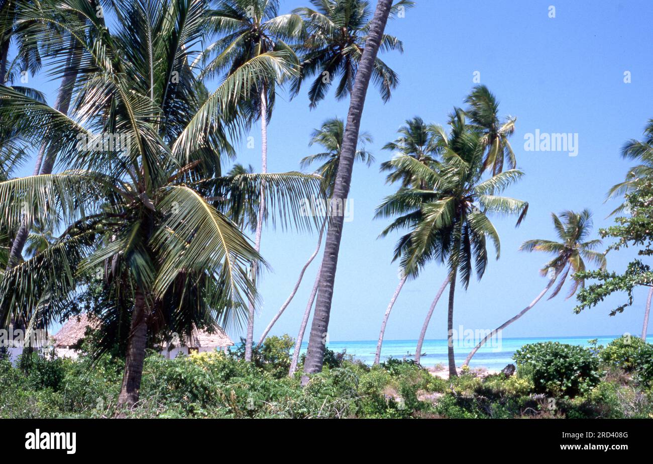 Tanzania and Zanzibar in 1998. Lifestyle, culture and wildlife ...