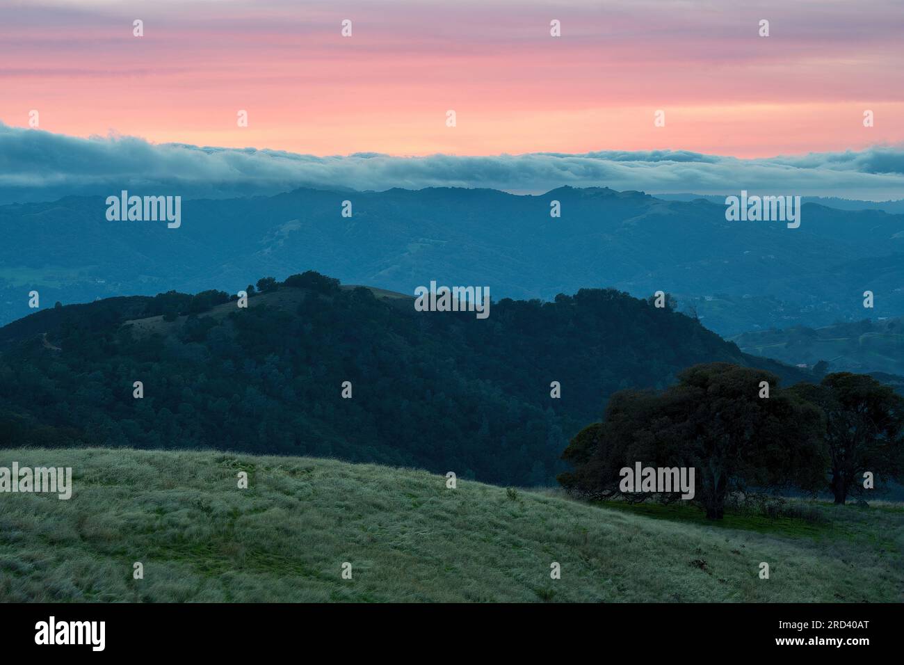 Twilight views of Mt Diablo surrounding via Barbeque Terrace (horse ...