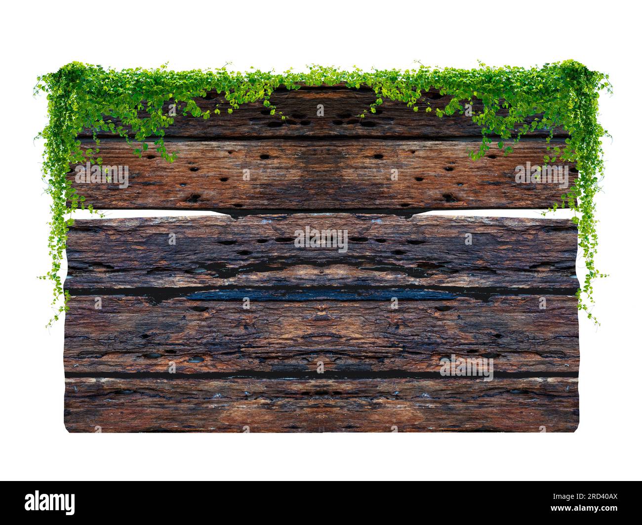 Dark brown antique plank frame background with tropical leaves and ...
