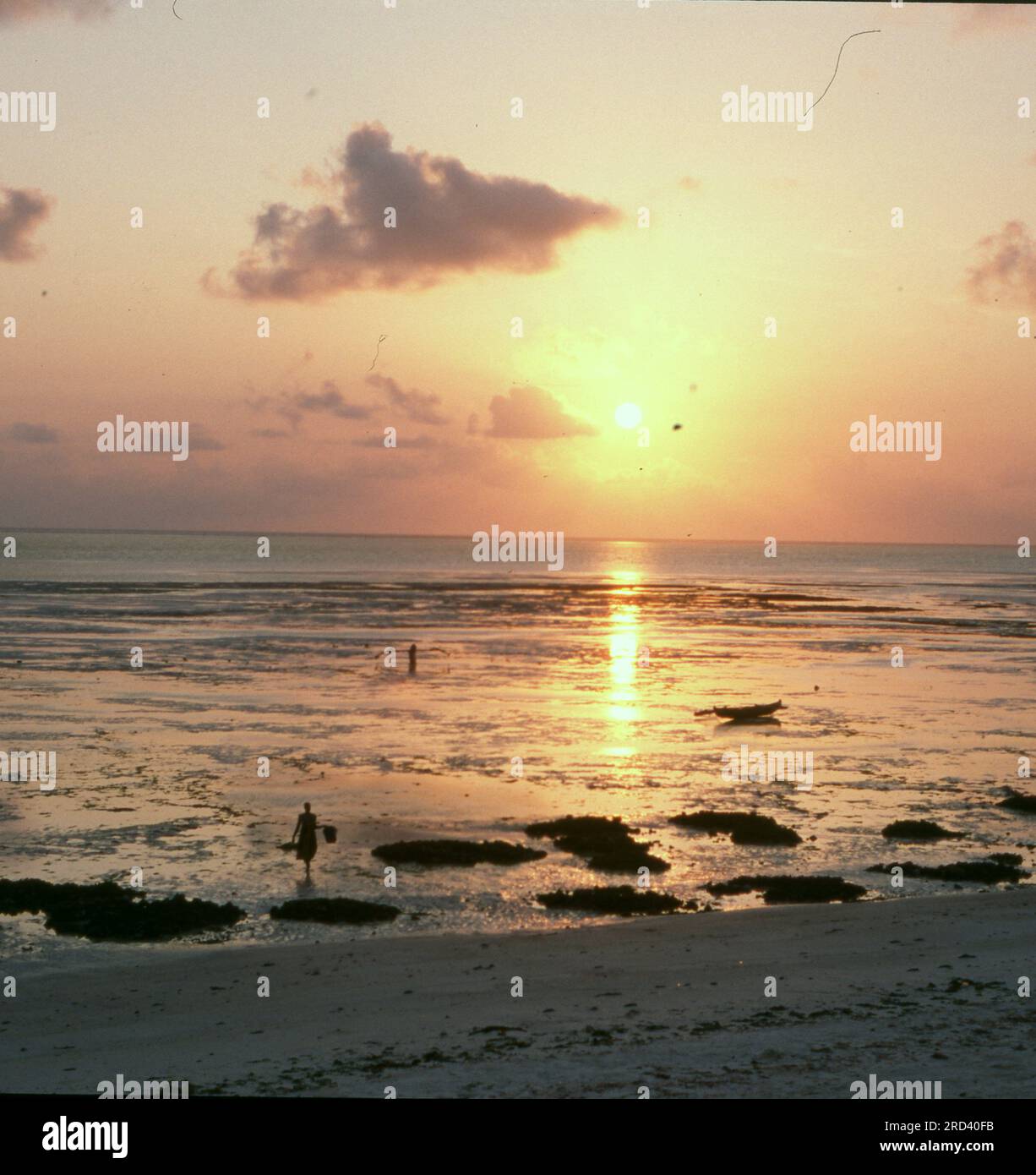 Tanzania and Zanzibar in 1998. Lifestyle, culture and wildlife ...
