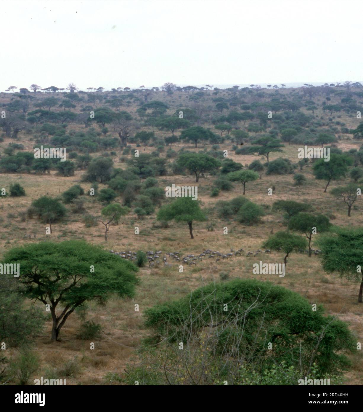 Dar es salaam 1998 hi-res stock photography and images - Alamy