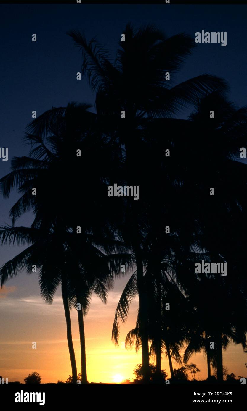 Tanzania and Zanzibar in 1998. Lifestyle, culture and wildlife ...