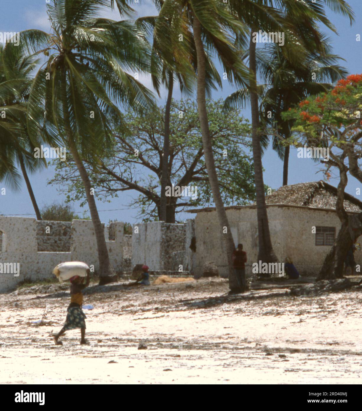 Tanzania and Zanzibar in 1998. Lifestyle, culture and wildlife ...
