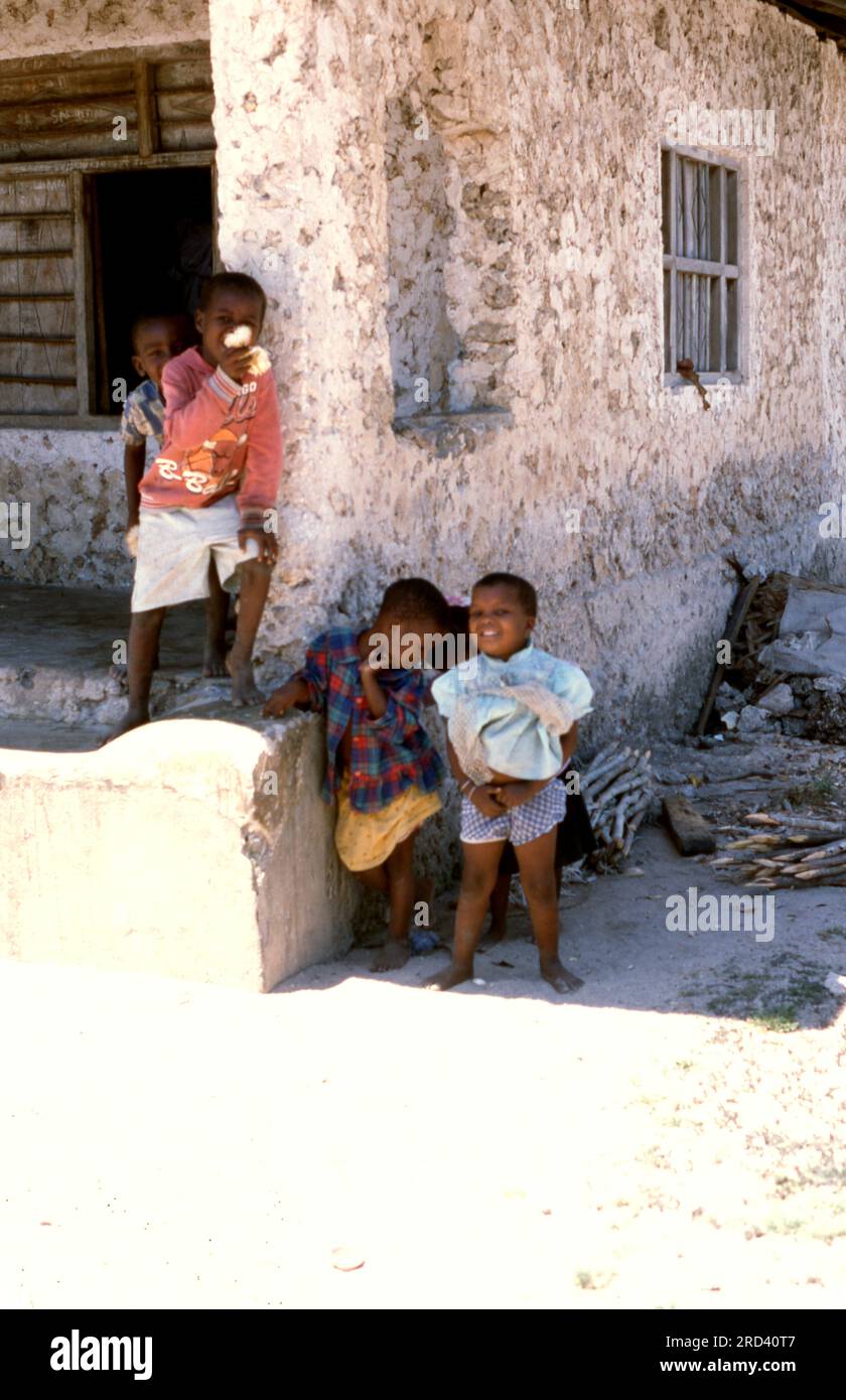 Tanzania and Zanzibar in 1998. Lifestyle, culture and wildlife ...