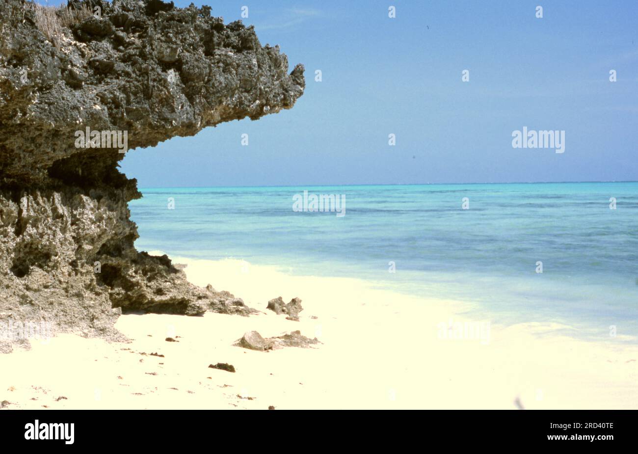 Tanzania and Zanzibar in 1998. Lifestyle, culture and wildlife ...