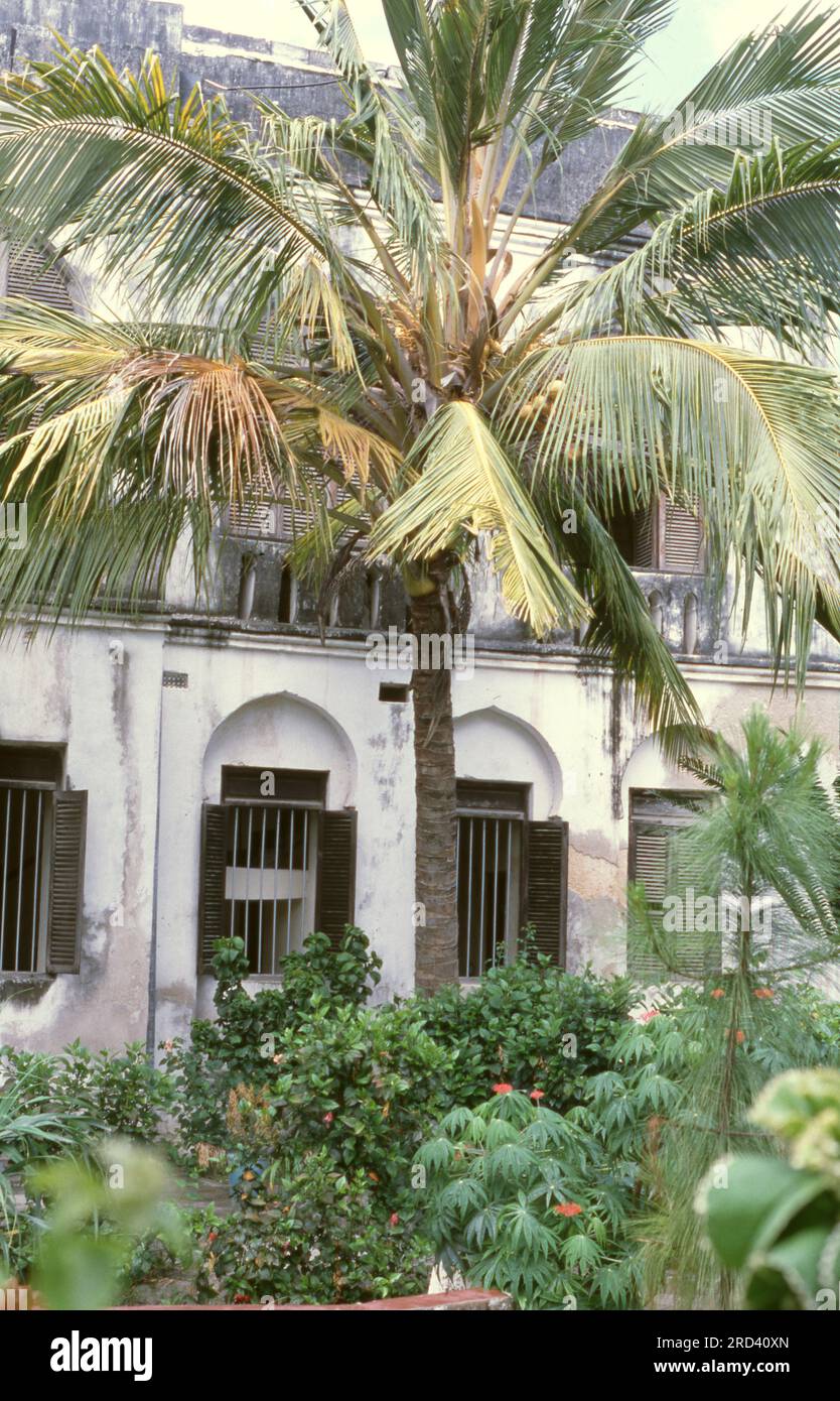 Tanzania and Zanzibar in 1998. Lifestyle, culture and wildlife ...