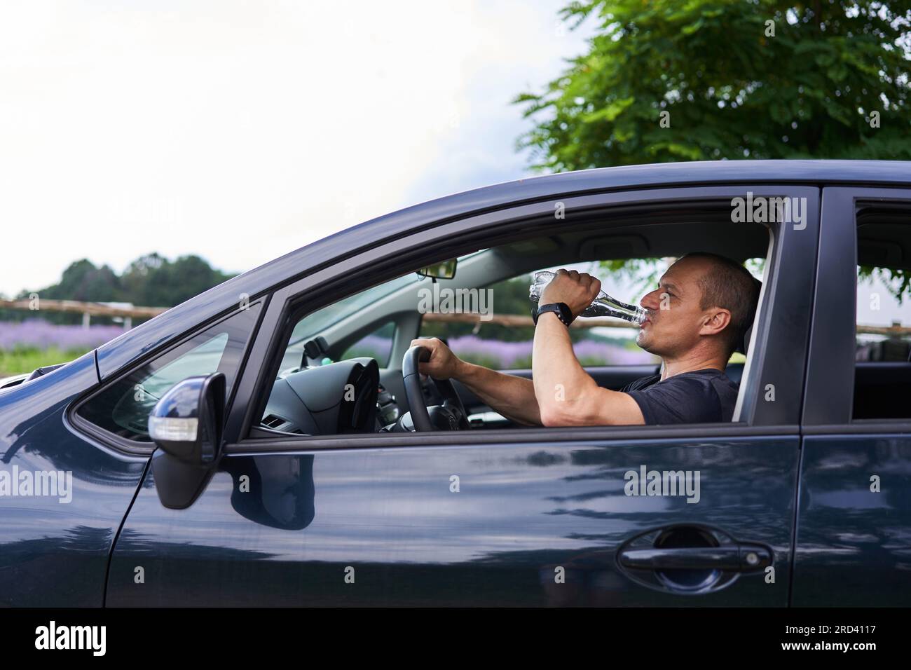 Man inside the car in a heatwave temperature, drinking water Stock ...