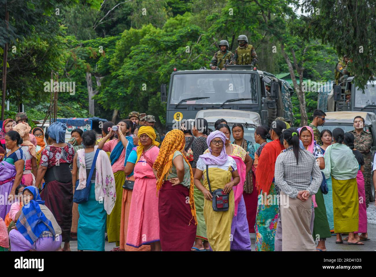 Meira paibis hi-res stock photography and images - Alamy