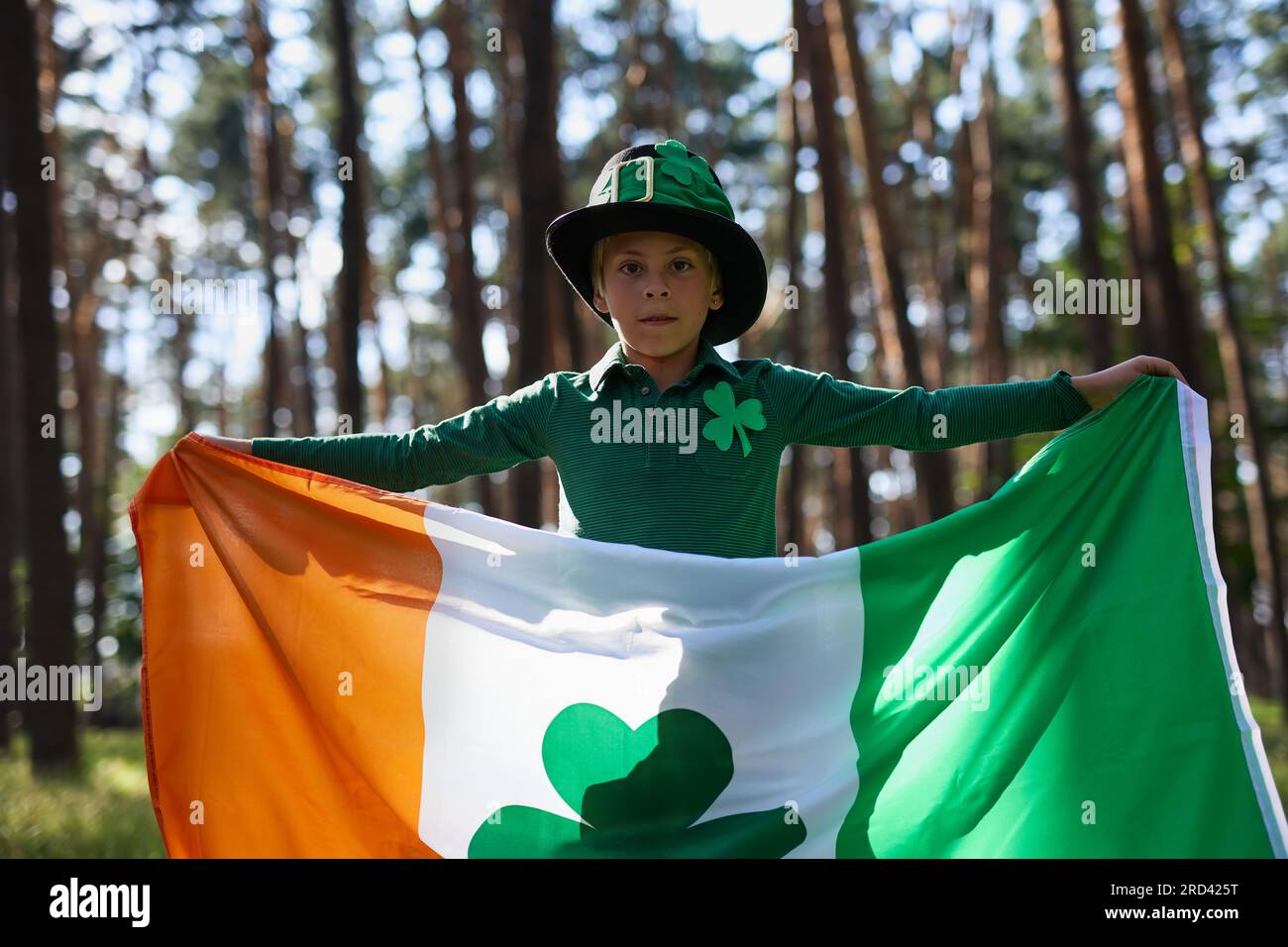 Little boy celebrating St Patrick's Day dressed as a leprechaun ...