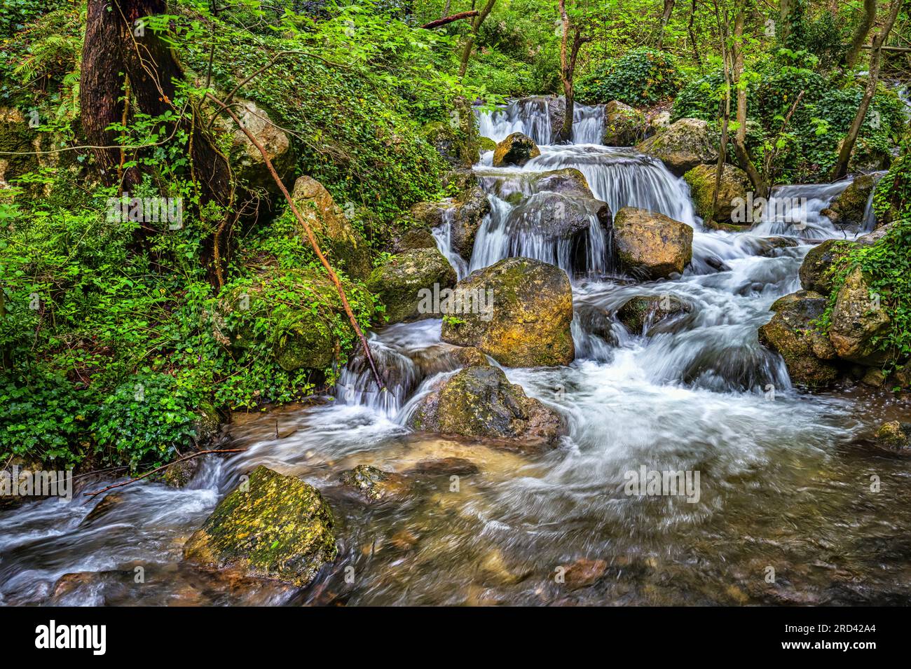 Sagittario river flows fast between rocks and woods near the Cavuto ...