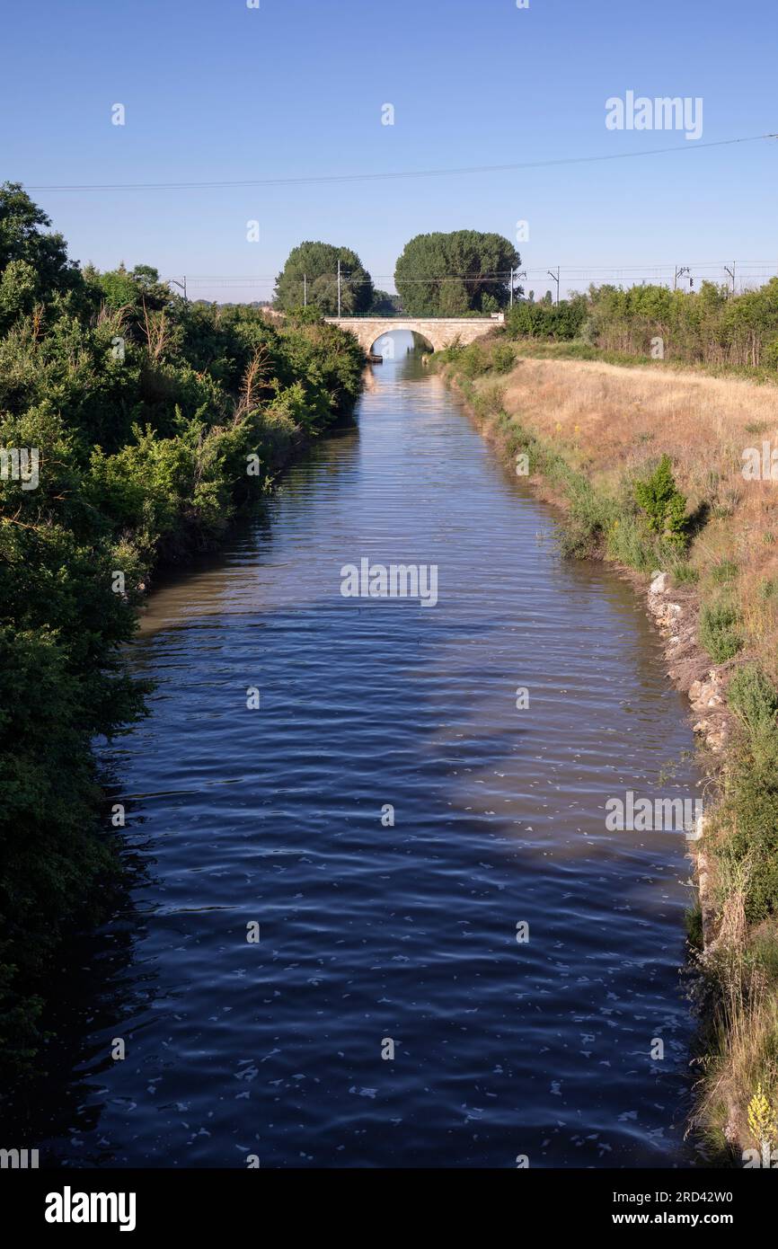 Europe, Spain, Castile and León, Fromista, The Canal of Castile below ...