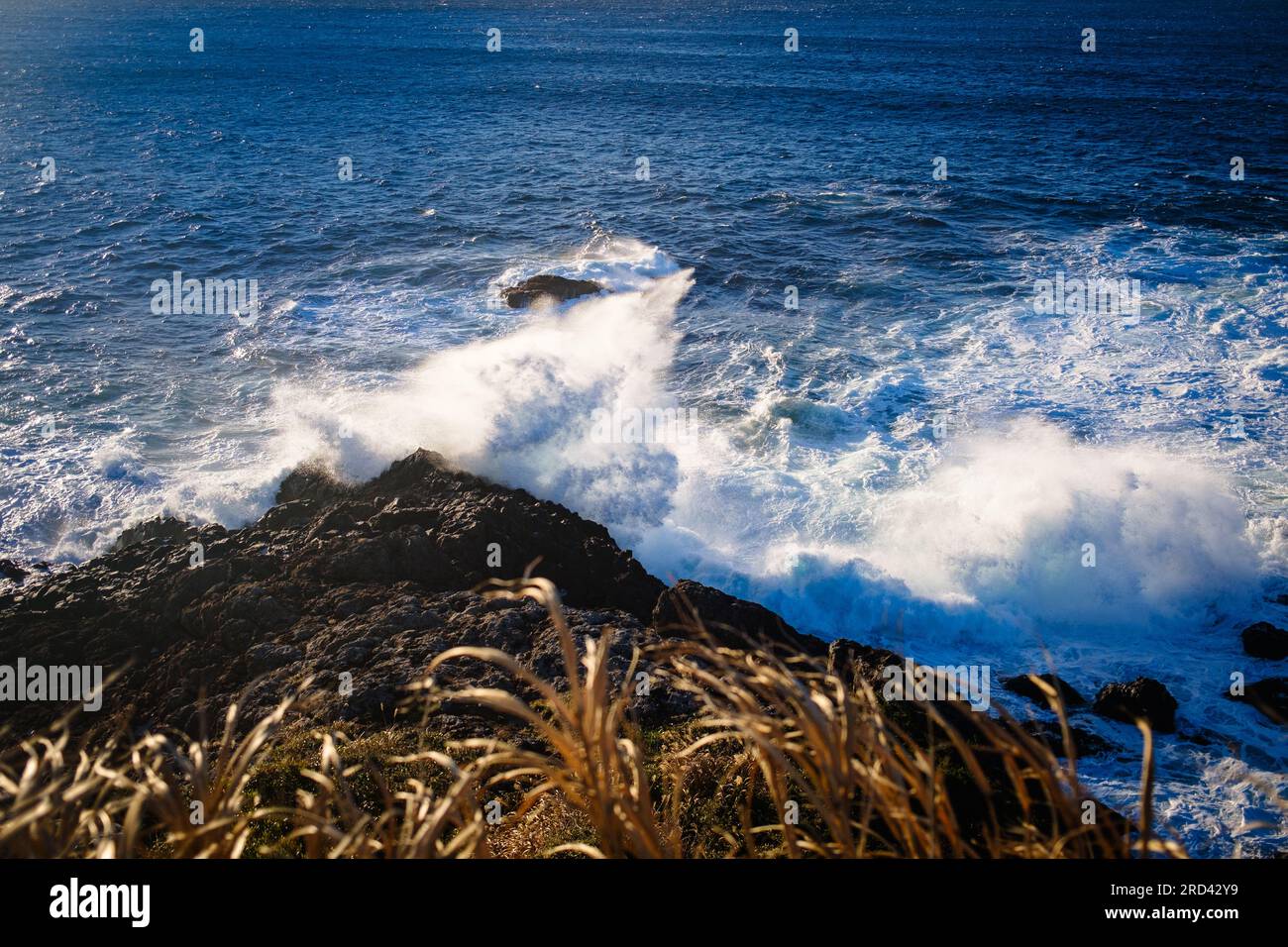 Cape Tsumeki offers 360 degrees if views from the end of the cape just ...