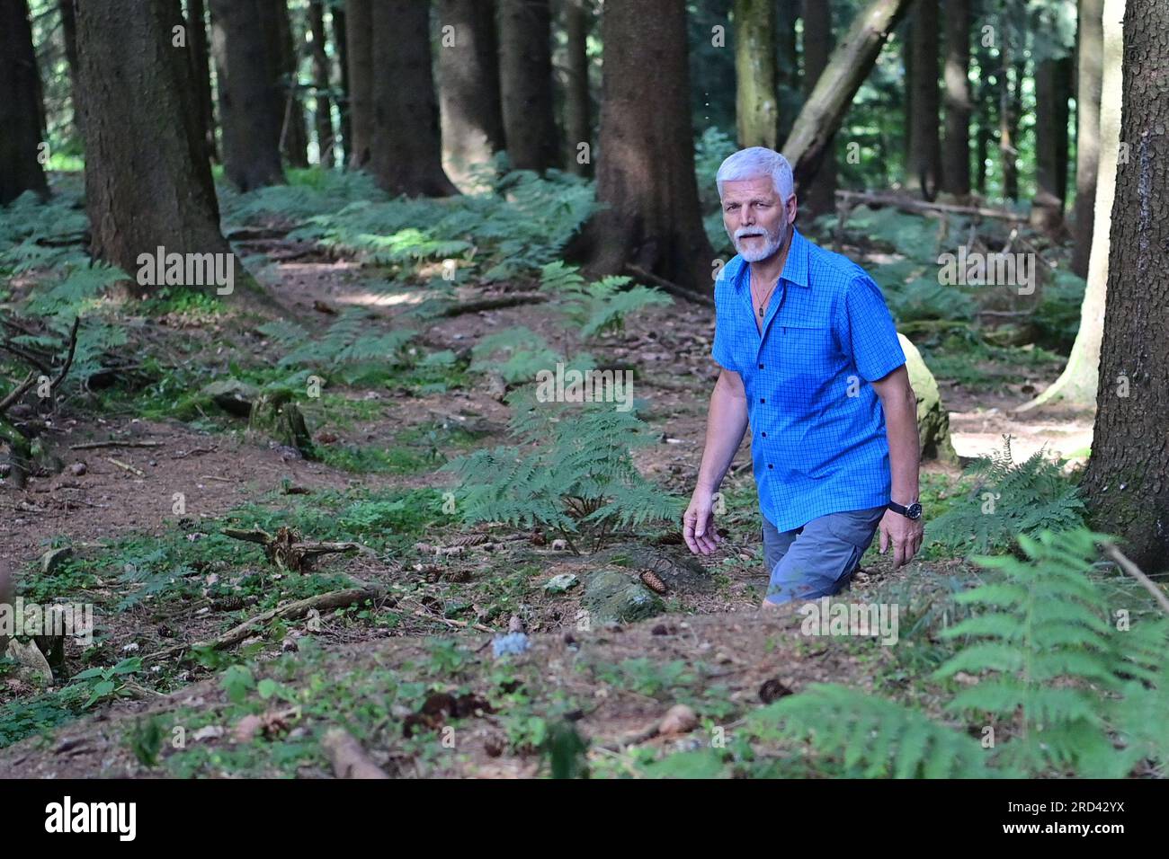 Bohemian forest foothills hi-res stock photography and images - Alamy