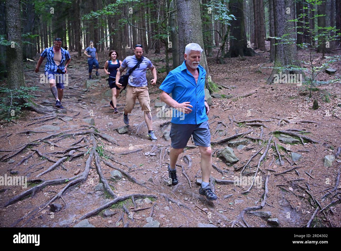 Blansky forest hi-res stock photography and images - Alamy