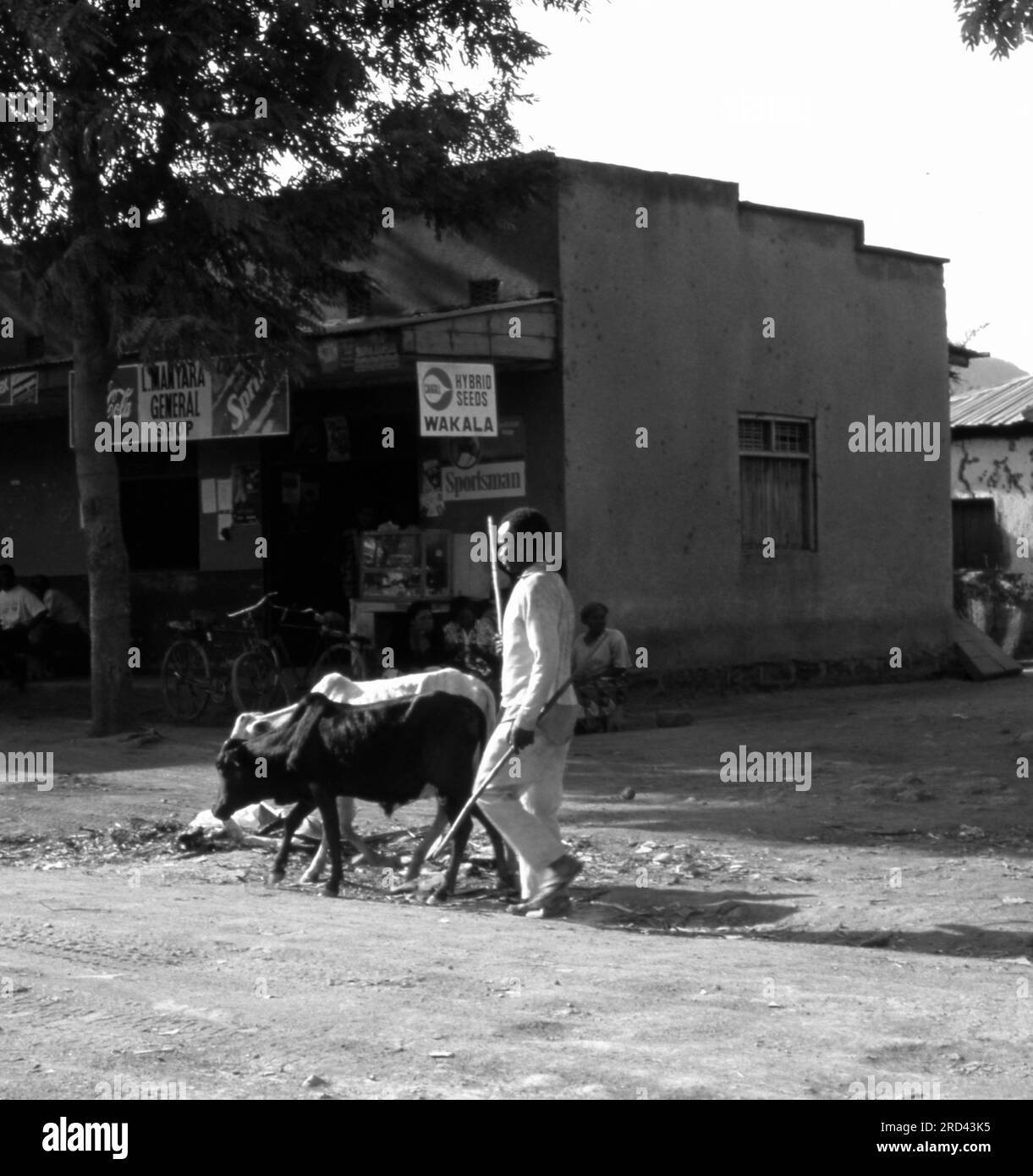 Tanzania and Zanzibar in 1998. Lifestyle, culture and wildlife ...