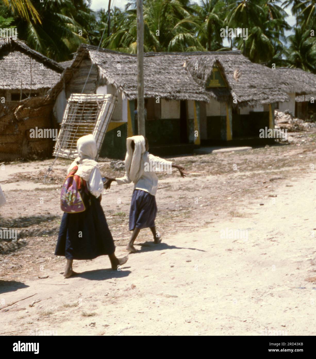 Tanzania and Zanzibar in 1998. Lifestyle, culture and wildlife ...